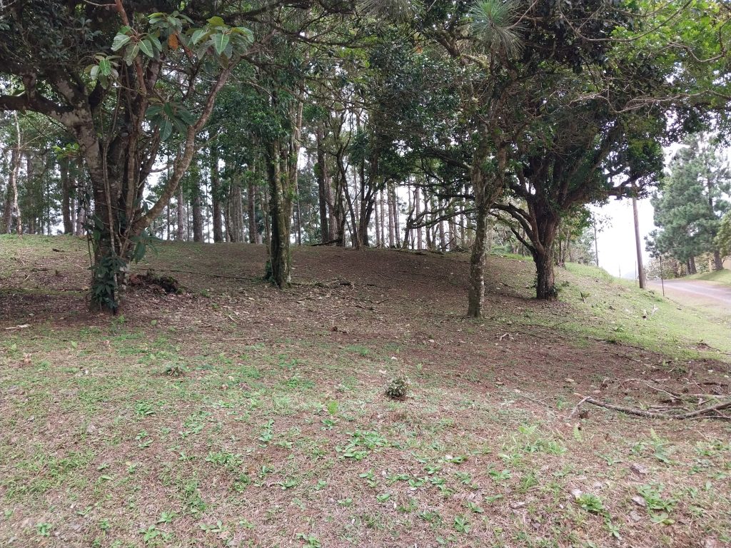 Hermoso terrno en Altos del Maria - Vistamares Realty